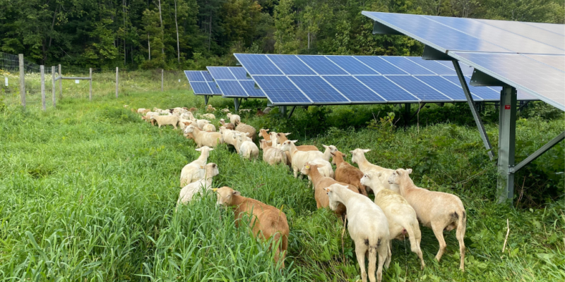 Looking to put solar on your Virginia farmland? - Encore Renewable Energy